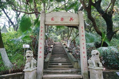 全国“100个最美古树群”名单公布！唐家湾镇荔枝古树群入选