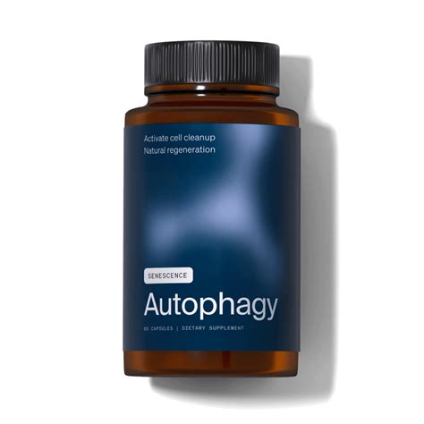 Autophagy Healthspan