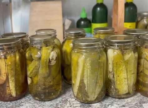 Bubbies Dill Pickle Recipe