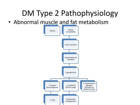 Ppt Diabetes Mellitus Type 2 Powerpoint Presentation Free Download Id3533994
