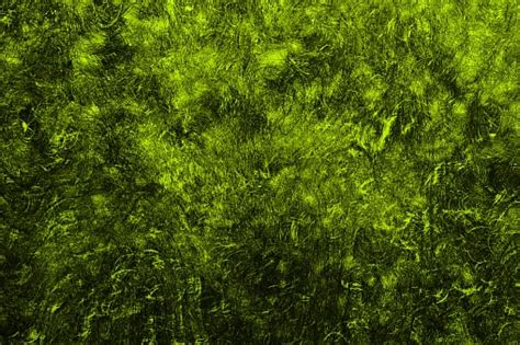 라임 디자인 머리 처럼 닦 았 접시 텍스처좋은 추상적인 사진 배경 0명에 대한 스톡 사진 및 기타 이미지 0명 거친 거친