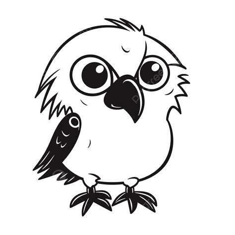 Cute Cartoon Coloring Sheets Of Bird Cartoon Outline Sketch Drawing