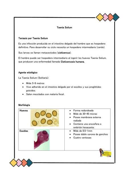 Taenia Solium Tatiana María Mejía Pablo Udocz