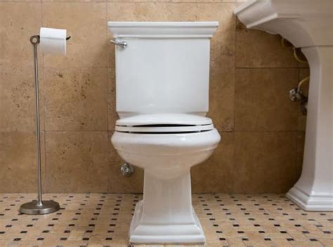 4 Reasons Why Toilet Leaks When Flushed Jessica Paster