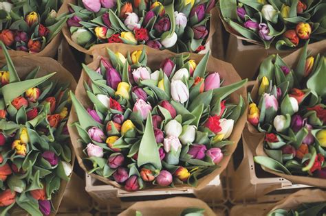Maison Des Fleurs on Behance