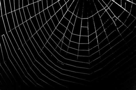 La Differenza Tra Deep Web E Dark Web Federico Bo