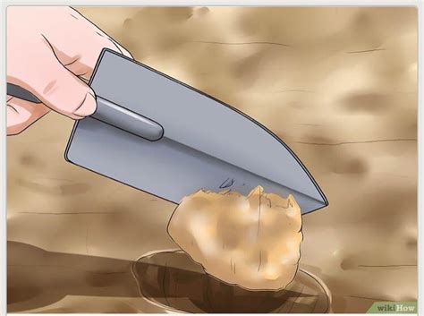 How To Cover Your Tracks After Having Sex With Your Neighbors Backyard R Disneyvacation