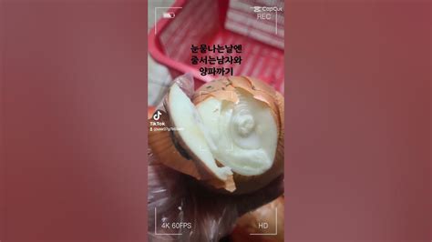양파까기 양파껍질까기 양파 눈물나고싶은날 눈물 Youtube