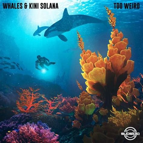 Whales Kini Solana Too Weird Whale Weird Safari