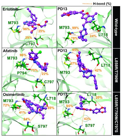 The Three Dimensional Representative Structures Showing A Percentage Of Download Scientific