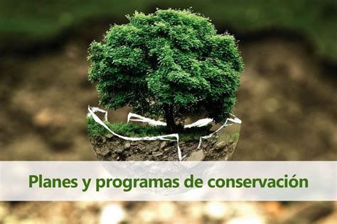 Planes Y Programas De Conservación