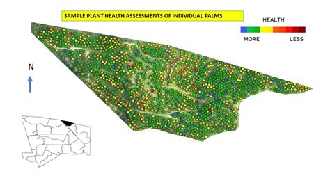 Using Precision Agriculture For Fruit Ripeness Detection Flying Labs