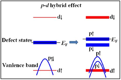 Schematic Diagram Showing The P D Hybrid Effect Of Doped Structures Download Scientific