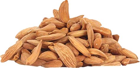 Manufacturer Of Mamromamra Almond From Ahmedabad Gujarat By Quality