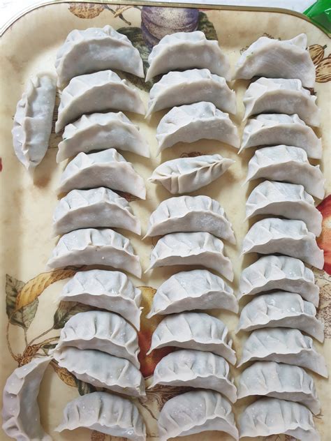 소고기 부추 만두