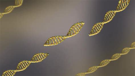 The Code Breaker Jennifer Doudna And How Crispr May Revolutionize