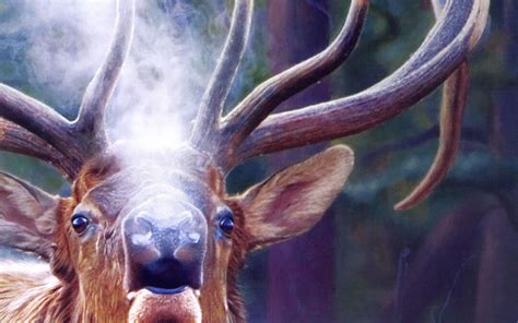 Jay Kemp Swinging For The Fence Sporting Classics Daily