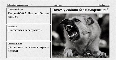 Почему собака без намордника Пикабу