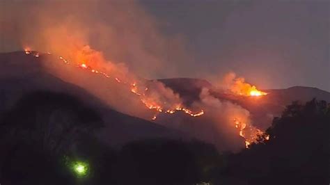 Incendio Forestal En Sierra De Morones Arrasa 800 Hectáreas El Sol De