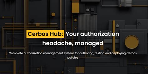 get started with cerbos hub dev community