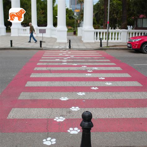 თაკო ჯაიანი