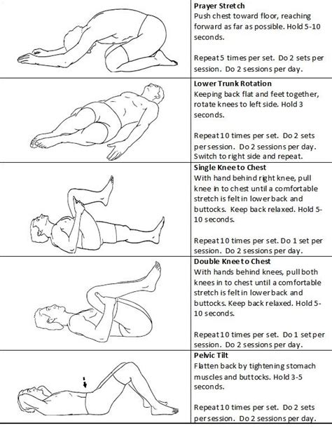 Lower Back Muscle Strain Stretches