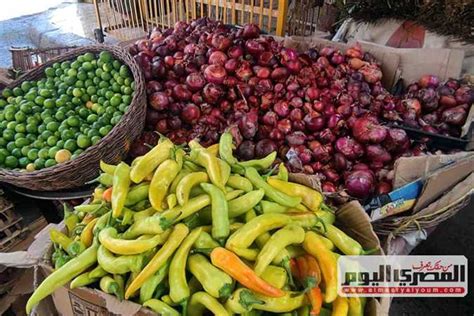 صحيفة المصري اليوم أسعار البصل والبطاطس والخضروات بالأسواق الخميس 5