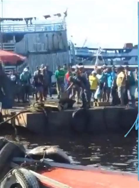 Veja vídeo Corpo de homem rosto desfigurado é encontrado em Manaus
