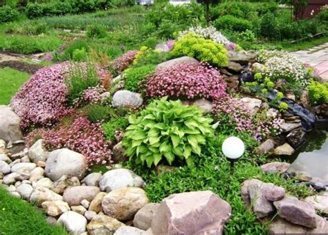 Альпійська гірка | Rock garden design, Succulents garden, Rock garden