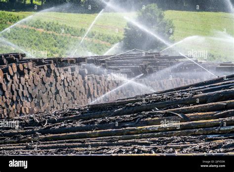 Wet Wood Storage Of A Sawmill Timber That Is Stored For A Longer