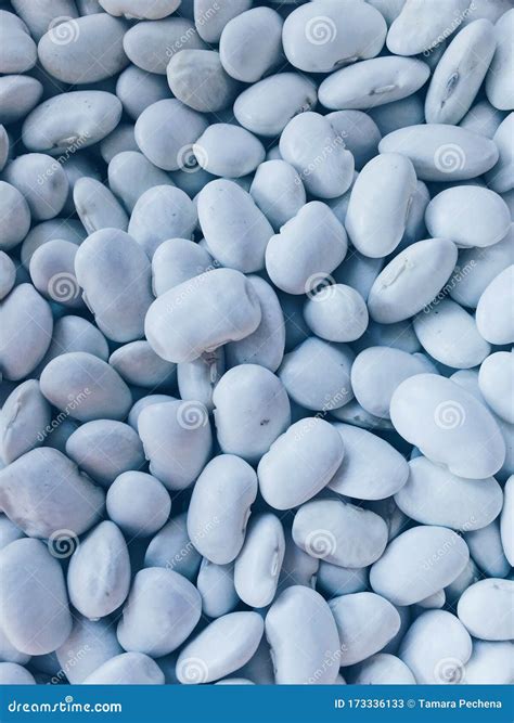 Background With White Beans Blue Texture Stock Image Image Of Colors