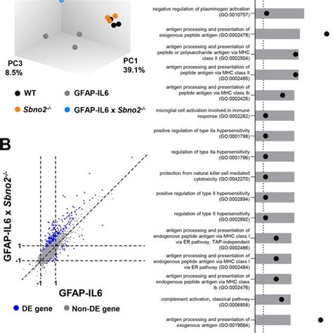 Differential Expression Analysis And Gene Ontology Overrepresentation Download Scientific
