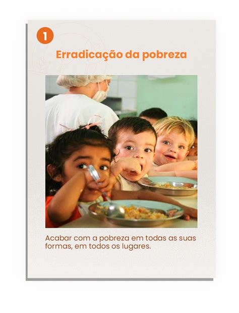 Objetivos de Desenvolvimento Sustentável Instituto Agronelli