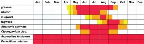 Fungal Spore Seasons Overlap With Grass And Weed Pollen Seasons
