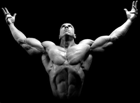 1 Andreas Frey Bodybuilder