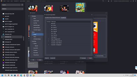 Launchbox Not Downloading All Imageswhy Troubleshooting Launchbox