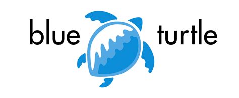 Enterprise Technology Company Blue Turtle Technologies