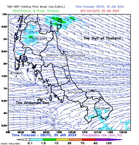 10m Windandprecip