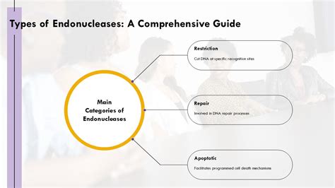 Top 10 Functions And Activity Powerpoint Presentation Templates In 2025