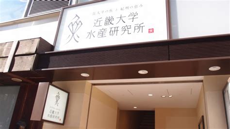 銀座 近畿大学水産研究所 近大マグロと選抜鮮魚の海鮮丼 銀座でランチ