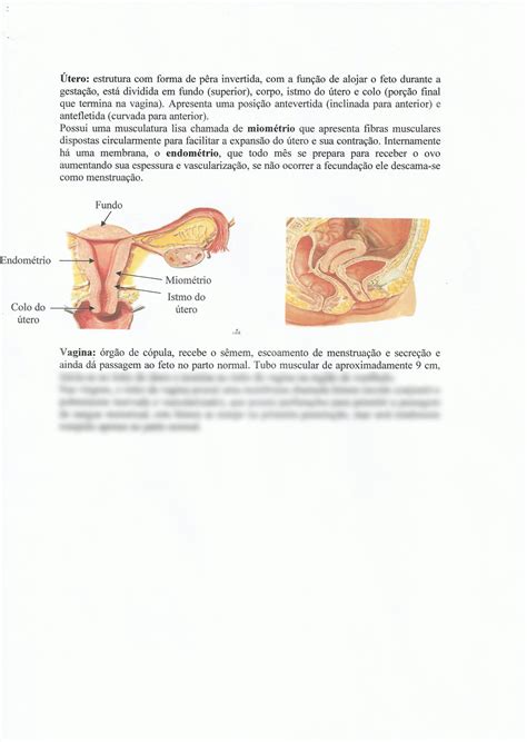 SOLUTION Sistema Reprodutor Studypool
