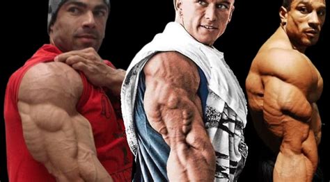 Lee Priest Triceps