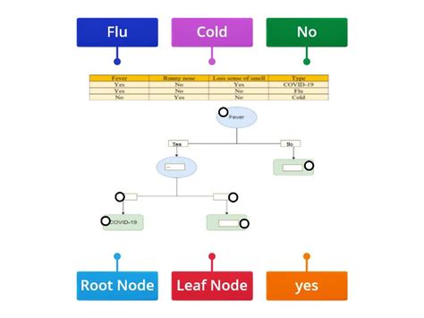 Creating A Decision Tree Using Plots Term Startup Activity Week Lesson Labelled Diagram
