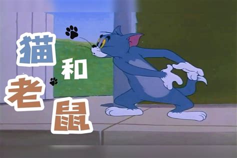 猫和老鼠：猫听到广播后，想要抓住水獭交给马戏团，它能成功吗广播水獭成功