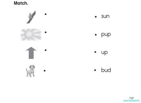 Unit 7 Part 5 Interactive Worksheet Topworksheets