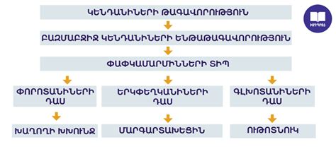 Փափկամարմինների բազմազանությունը և դասակարգումը — դաս։ Կենսաբանություն 7 րդ դասարան