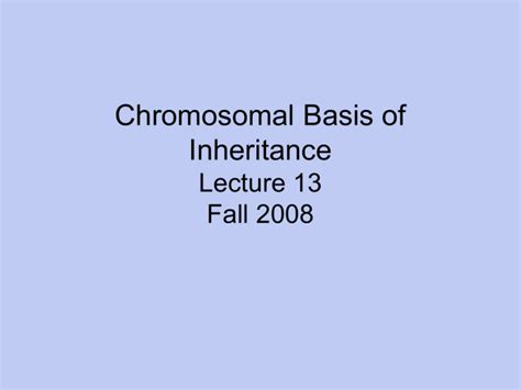 Chromosomal Basis Of Inheritance Lecture Fall