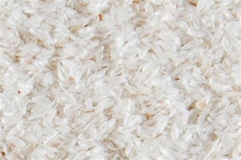 Sat Isabgol at Best Price in Unjha, Gujarat | Gayatri Psyllium Industries