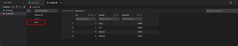 Querying Relational Databases With Sqlalchemy In Python Earthly Blog