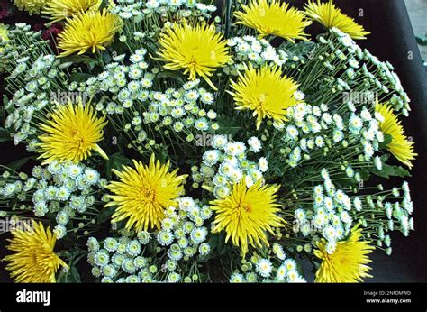 Colour Matching Colour Blending And Patterns Are Important When